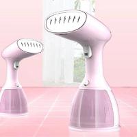 China Easy Home 280ml Water Tank Fast Heat Garment Steamer with Anti Dry Burning Support for sale