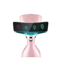 China 12-15mins Working Time Handheld Garment Steaming Iron for Easy Home and Continual Steam for sale