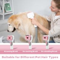 China 300W Pet Grooming Brush Clippers Vacuum Kit and Performance with Vacuum Cleaner Set for sale