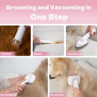 China 300W Pet Grooming Brush Clippers Vacuum Kit and Performance with Vacuum Cleaner Set for sale
