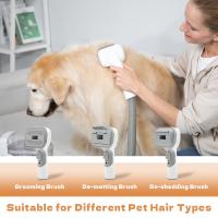 China Customizable 300W Pet Grooming Vacuum Tool for Hair Shedding Trimmer Comb Accessories for sale