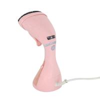 China Private Mold Yes Travel Home Portable Mini Powerful Smart Handheld Garment Clothes Steamer for sale