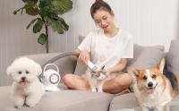 China Powerful Suction and Electric Power Source Pet Hair Vacuum Tools for Easy Grooming for sale