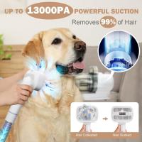 China Pet Grooming Vacuum 6 In 1 Professional Proven Grooming Tools Kit Product Weight 3.9kg for sale