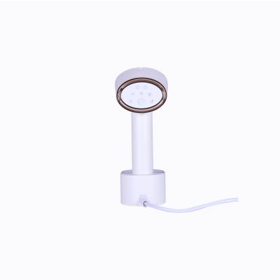 China 2000W Portable Garment Steamer NO App-Controlled for Quick Wrinkle-Free Clothes Ironing for sale