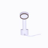 China Multifunctional Handheld Electric Design Clothing Steamer with Hair Brush Accessories for sale