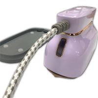 China 3 Levels Gears Mini Steamer Press for Clothes Rotatable Function Portable Electric Iron for sale