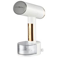 China 300ml Water Tank Portable Mini Handheld Garment Steamer The Ultimate Travel Companion for sale