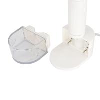 China 300ml Water Tank Portable Mini Handheld Garment Steamer The Ultimate Travel Companion for sale