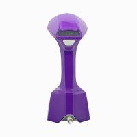 China Electric Portable Fabric Clothing Steamer Main material PC Private Mold Yes Included for sale