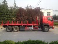 China 371hp Sinotruk Howo7 Cargo Container Truck 30T Flatbed 6x4 10wheels With 1 Spare Tire for sale