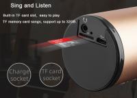China 5W*2 Wireless Karaoke Microphone Bluetooth Speaker 6H Playtime For Holiday Party for sale
