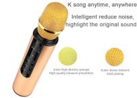 China 5W*2 Wireless Karaoke Microphone Bluetooth Speaker 6H Playtime For Holiday Party for sale
