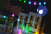 China 16 RGB Color Change Ball Lights 50pcs LED String Lights 6.5m Waterproof Outdoor Decorative for sale