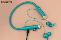 China Neckband Bluetooth Earphones Bluetooth 5.1 600mAh Battery HiFi Sound Magnetic Absorption Design for sale