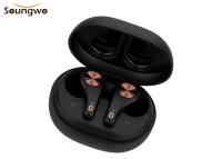 China ANC True Wireless Earphones Noise Reduction Double Wireless Charging No Delay for sale