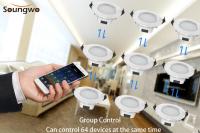 China Bluetooth Mesh Network Light Bulb Smart Bulb Color Alexa Changing Light Smart Lamp for sale