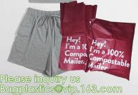 China Eco Friendly Biodegradable Poly Mailers 10x13 Inch PLA PBAT Self Adhesive Shipping Bags for sale