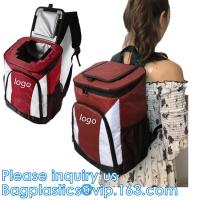 China Insulated Leakproof Backpack Cooler 30L 30 Cans Waterproof Soft Cooler Bag for Beach Picnic Camping Lunch for sale