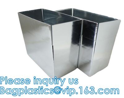 China Insulated Foam Cooler Box 30x30x15cm Aluminum Foil Lined Thermal Shipping Container for Food for sale