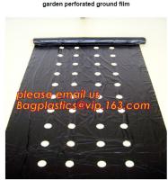 China Black White Panda Film 6 Mil 10x100ft Reflective Greenhouse Cover UV Treated Horticulture Poly Sheeting for sale