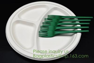 China 100% Biodegradable Sugarcane Bagasse Plates 10 Inch Compostable Disposable Dinnerware for sale