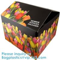 China Corrugated Fruit Packing Box, Gloss Lamination, Offset Printing, Foldable Box, Flower Cone, Flowral Packaging for sale