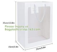 China White Kraft Paper Gift Bags 10 Pack 9.8x5.9x13.8 Inch with Clear Window and Rope Handles for sale
