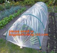 China Farm Plastic Supply 6 Mil Clear Greenhouse Polyethylene Film UV Protected 12-56ft Wide for sale