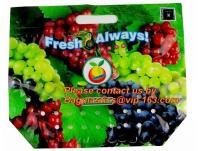 China Customizable Stand Up Slider Zipper Fruit Vegetable Bags 13 Color Printing 10000 PCS MOQ for sale
