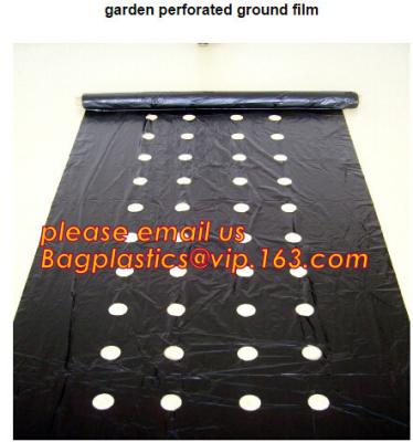 China Black White Panda Film 6 Mil 10x100ft Reflective Greenhouse Cover UV Treated Horticulture Poly Sheeting for sale