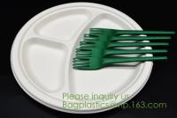China 100% Biodegradable Sugarcane Bagasse Plates 10 Inch Compostable Disposable Dinnerware Heavy Duty Leakproof for sale