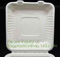 China 100% Biodegradable Sugarcane Bagasse Plates 10 Inch Compostable Disposable Dinnerware Heavy Duty Leakproof for sale