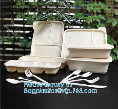 China Biodegradable Corn Starch 3 4 5 Compartment Take Away Food Lunch Box 500ml 950ml for sale