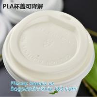 China Eco-friendly, Blodegradable, Compostable, PLA Lined Disposable Hot Cold Beverage Cup Set, Cafe, Shops, Kiosk for sale