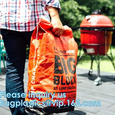 China Custom Kraft Paper Charcoal Bag 3kg to 15kg BBQ Grill Packing with Flexo Printing for sale