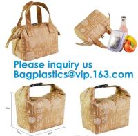China Custom Eco Friendly Tyvek Lunch Bag 20x7x28cm Insulated Cooler Bag DUPONT Paper Foldable for sale