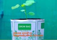 China HDPE LDPE Plastic Grow Bags 1-30 Gallon Heavy Duty Nursery Planter Bags with Drain Holes for sale