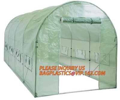 China 5x5ft Hydroponic Grow Tent Kit 600D Mylar Indoor Greenhouse with Galvanized Steel Frame for sale