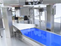 China Rotary Vacuum Packaging Machine with Nitrogen Filling High Speed and for Small Packages Durable and Customizable for sale