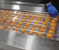 China DZDL-420 Compliant With International Standards Thermoforming Vacuum Packaging Machine With CE Certification for sale