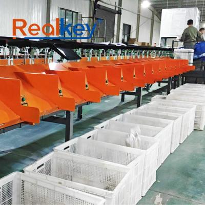 China High Precision Tilt Tray Sortation Machine Customized For Various Items Space Saving for sale
