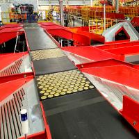 China New Realkey Flexible Swivel Wheel Sorter with 50 kg Load Capacity High Maneuverability and Customizable Dimensions for High-speed Package Sorting for sale