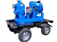 China ZW Self-Priming Horizontal Sewage Pump 80m Head 800m³/h Flow Rate for Industrial Waste Management for sale
