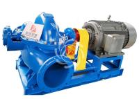 China SLOW Series Split Case Double Suction Centrifugal Pump 250S65 with 360-612 m³/h Flow and 56-71m Head for sale