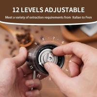 China Hand Crank Burr Electric Handheld Coffee Grinder Adjustable 28g Portable Wooden for sale