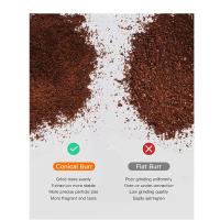 China Stainless Steel Electric Conical Burr Coffee Grinder Espresso Coffee Press 19 Setting for sale