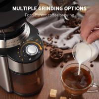 China High Capacity Professional Conical Burr Coffee Grinder ABS With 19 Precise Grind Setting for sale