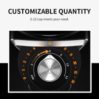 China ODM OEM Home Elec Coffee Maker Coarse And Fine Powder Professional Espresso Machine for sale