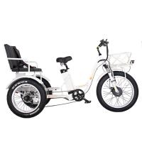 China 750W Front Wheels Electric Rickshaw Trike with 21AH Lithium Battery and 7 Speed Gears for sale